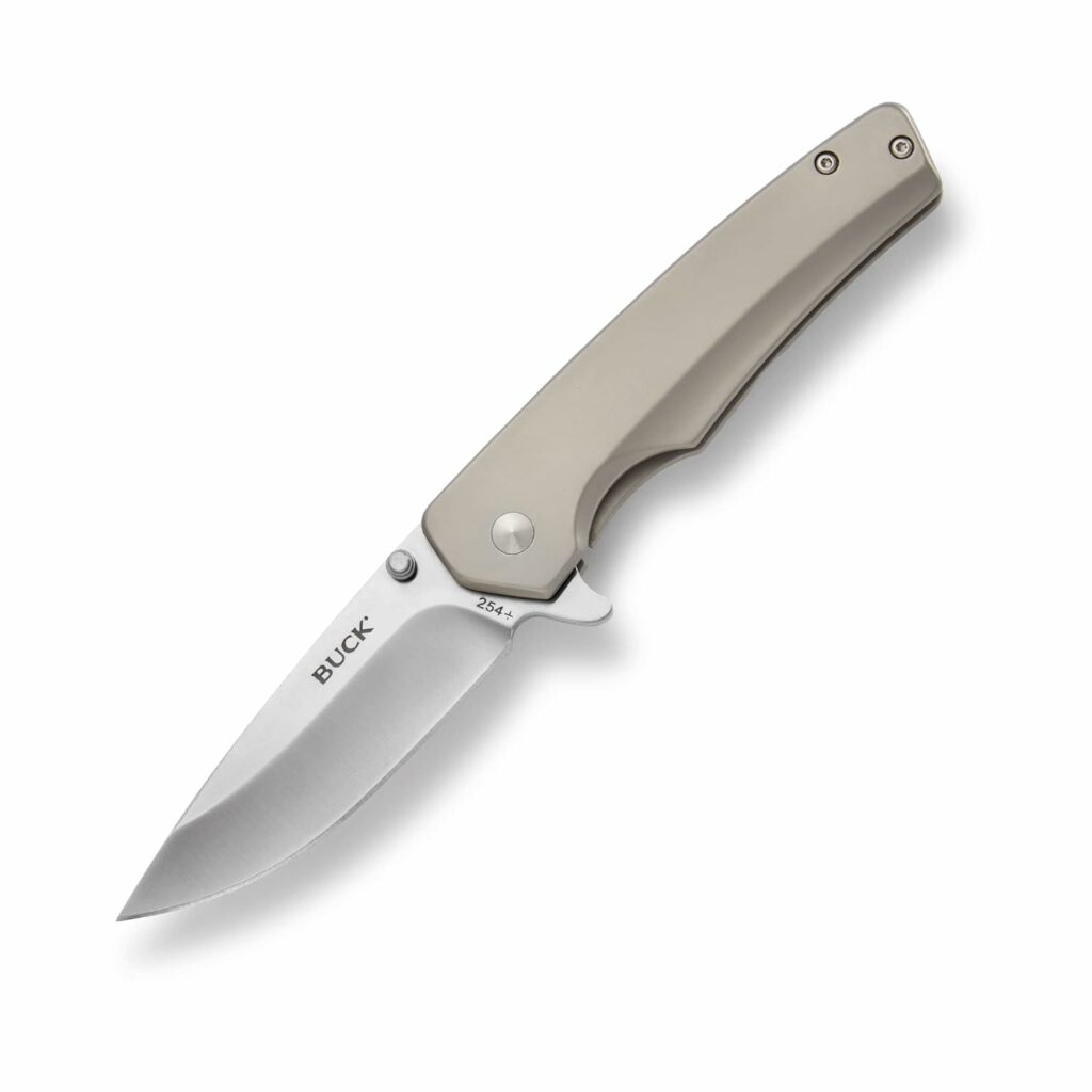 Buck Stainless Steel Odessa Flipper - Red Hill Cutlery