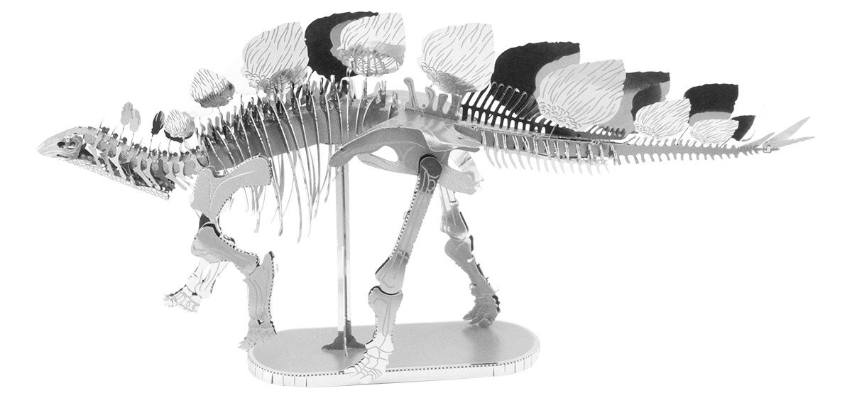 Stegosaurus Skeleton Metal Works Model Kit | Red Hill Cutlery